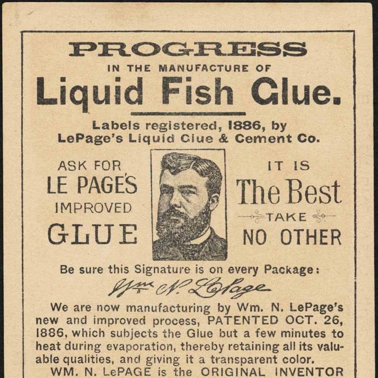 Fish Glue: Uses, Benefits, and How to Use | Just Use Glue